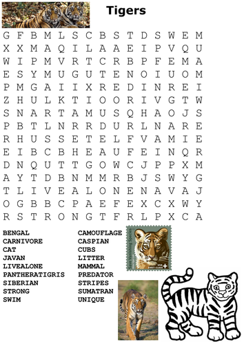 Tigers Word Search by sfy773 - Teaching Resources - Tes