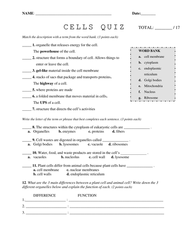 Biology: Advanced Cells Quiz | Teaching Resources Biology: Advanced Cells Quiz | Teaching Resources