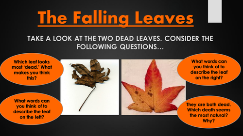 Fallen Leaf Poem Rts Fallen Leaves – Norma Rrae