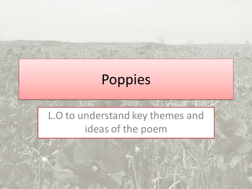 'Poppies' lesson on poem for new 2015 AQA poetry Conflict by gemmacapp ...