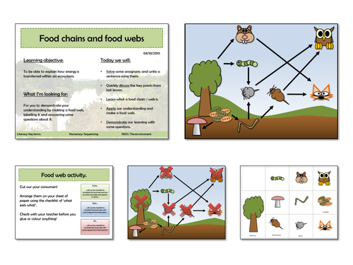 (New AQA) Ecosystems Lesson 2: Food Chain and the Ecosystem. by - UK ...