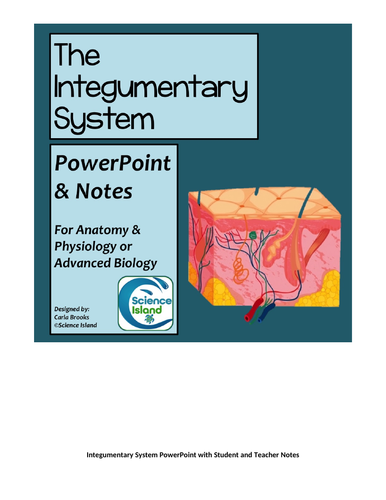 Integumentary System Ppt