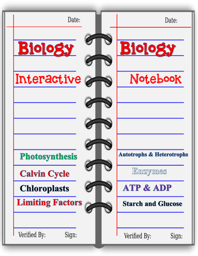 Interactive Biology Notebook | Teaching Resources