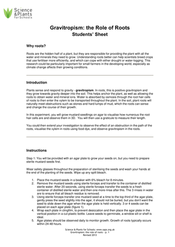 Gravitropism at post-16 - the Role of Roots | Teaching Resources