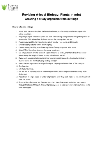 Revising A-level Biology: Plants 'R' Mint | Teaching Resources