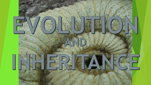 Evolution and Inheritance | Teaching Resources Evolution and Inheritance | Teaching Resources