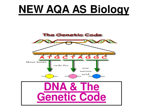 New AQA AS Biology - DNA, RNA and Genetic Code | Teaching Resources