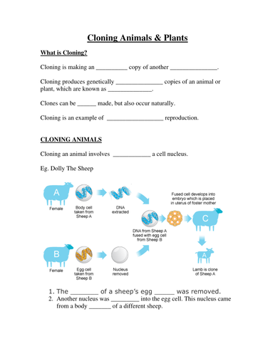 GCSE Biology - Selective Breeding & Cloning Worksheets | Teaching Resources