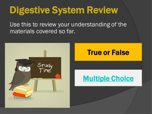Interactive Review for Digestive System | Teaching Resources