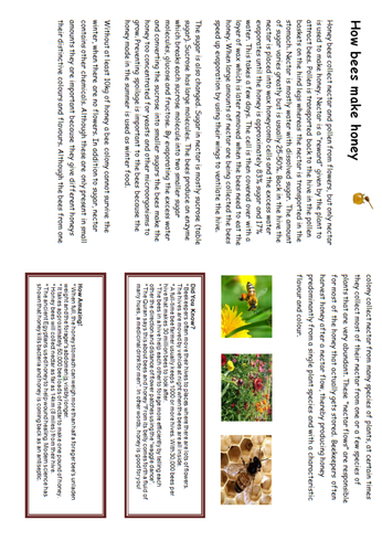 Year 4 explanation texts KS2 | Teaching Resources