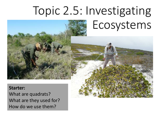 Topic 25 Investigating Ecosystems Ess Teaching Resources 