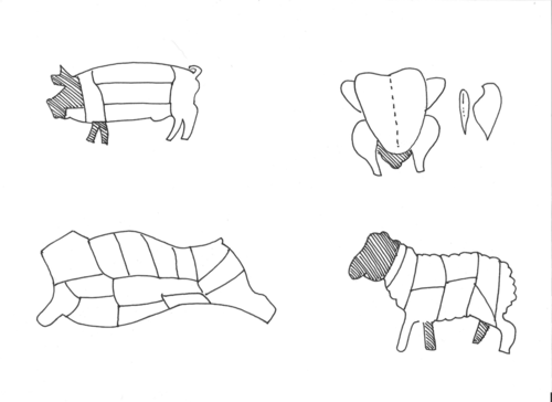 Cows: cuts of meat, bi-products by rb440 - UK Teaching Resources - TES