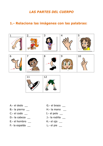 Las Partes Del Cuerpo Worksheet