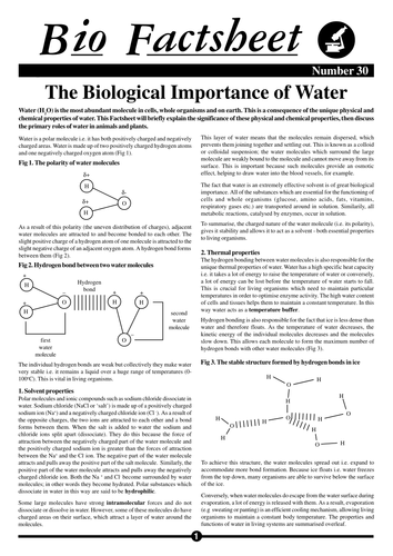 AQA A level Biology New Spec Year 1 Water by nturner82 - Teaching ...