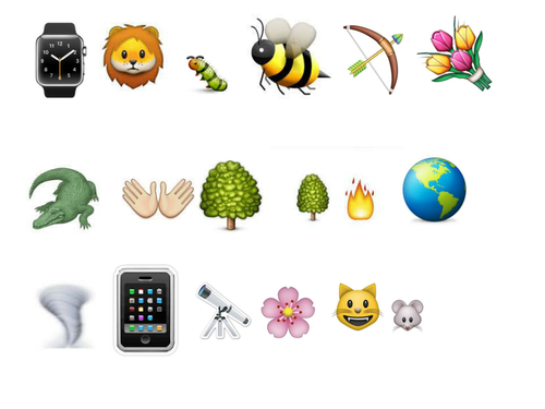 Teleological Argument Emojis | Teaching Resources