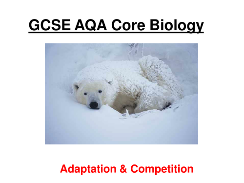 GCSE CORE AQA Biology - Adaptations, competition & Indicator species ...