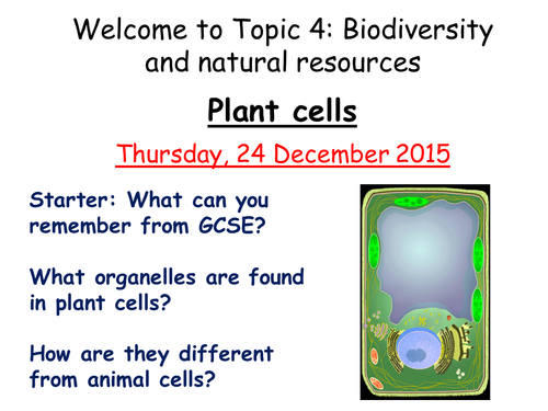 Plant cells | Teaching Resources