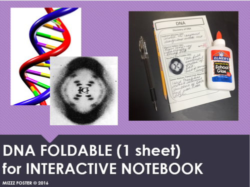 DNA Foldable for Interactive Notebook | Teaching Resources