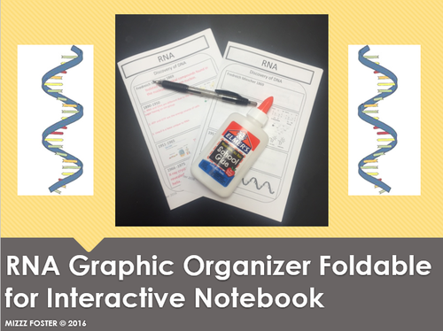 RNA Graphic Organizer Foldable for Interactive Notebook | Teaching ...