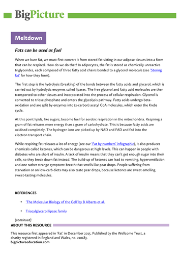 Article about how fat stored in the body is respired to release energy ...