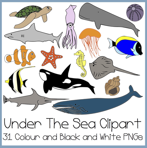 Under The Sea Clipart Jpg