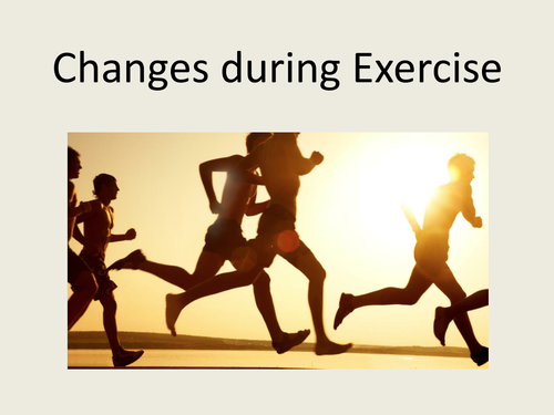 Changes to the Body Worksheet by MrMacPE - Teaching Resources - TES