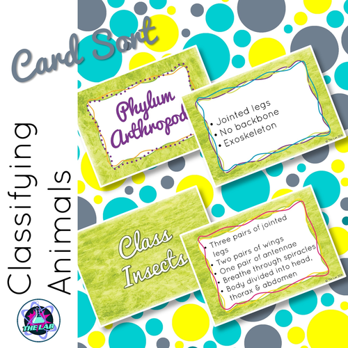 Classifying Animals Card Sort | Teaching Resources