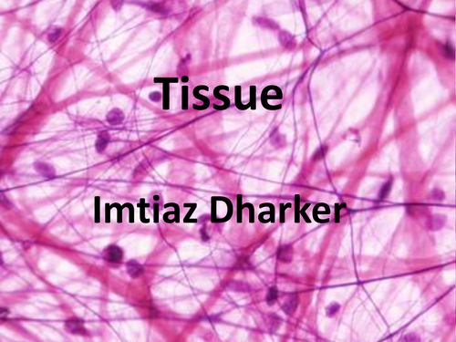 AQA Literature Poetry (Power and Conflict) - 'Tissue' by Imtiaz Dharker ...