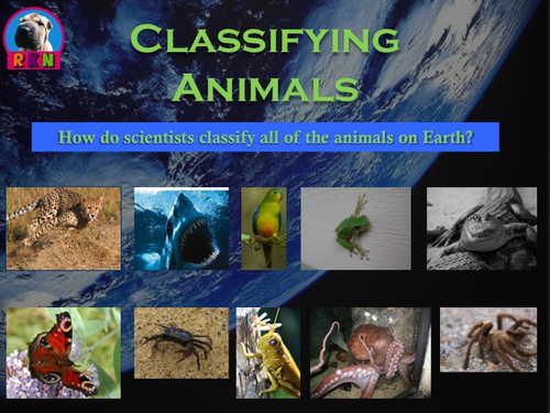 Classifying Animals Powerpoint | Teaching Resources