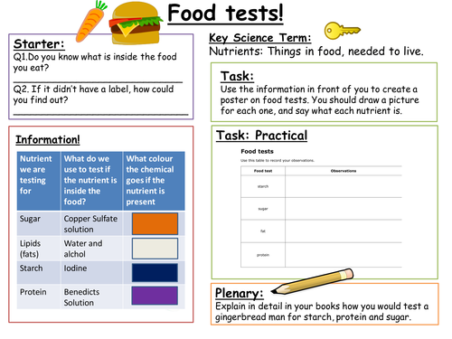 SEN Key Stage 3: Food Tests | Teaching Resources