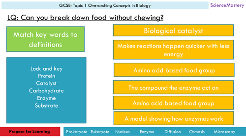 Human digestive enzymes (& food tests) - NEW GCSE by - UK Teaching ...
