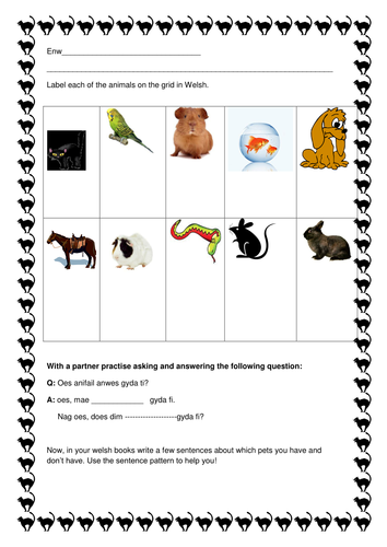 A worksheet to label different types of pets in Welsh by ljj290488 ...