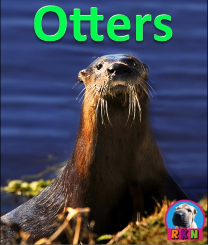 Otters - PowerPoint & Activities | Teaching Resources