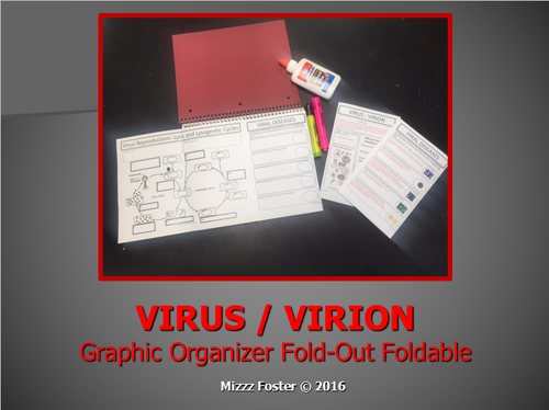 Virus Graphic Organizer Foldable | Teaching Resources