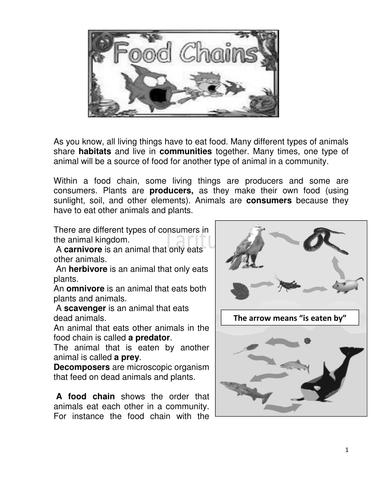 Who eats who ? | Teaching Resources