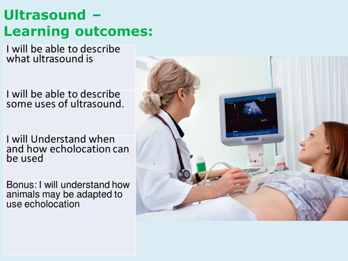 Ultrasound lesson, based on bats, perfect for KS3 by Imogenrhenderson ...