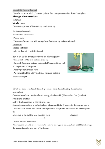 Structure of Xylem and Phloem | Teaching Resources