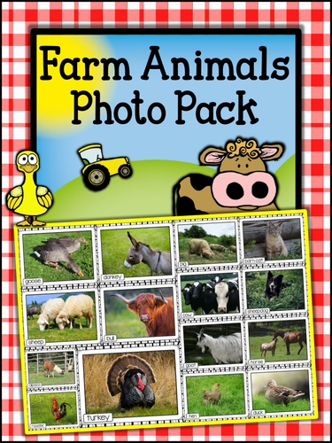 Farm Animals and Babies Photos Pictures for Display Posters Science by ...