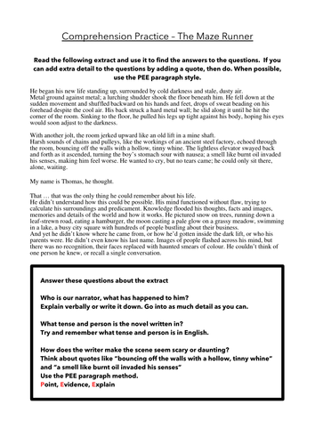 The Maze Runner Comprehension by keyglow200 - Teaching Resources - Tes