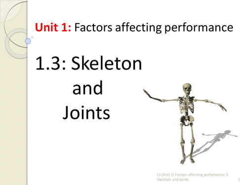 IGCSE PE 1.3 Skeleton and Joints | Teaching Resources