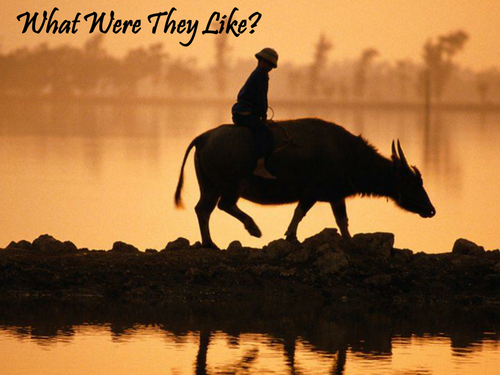 What Were They Like - Denise Levertov (Edexcel Conflict Poetry Cluster ...