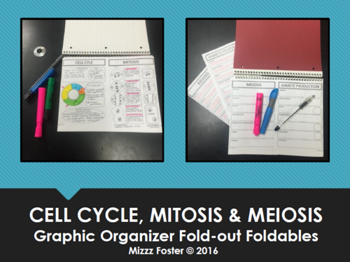 Cell Cycle Foldable