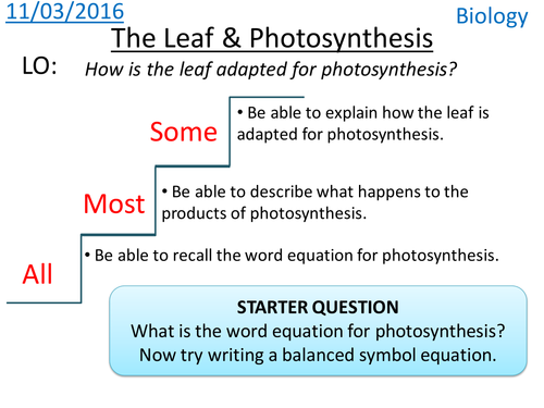 Leaf & Photosynthesis - NEW KS3 | Teaching Resources