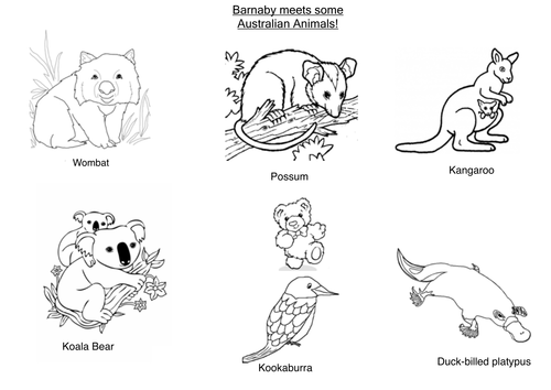 Barnaby Bear meets animals from Australia | Teaching Resources