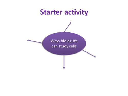 Microscopy & Magnification - NEW GCSE | Teaching Resources