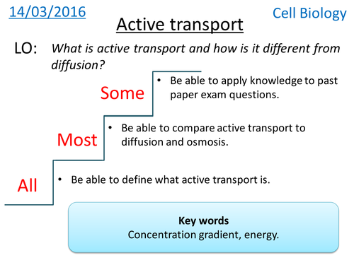Active Transport - NEW GCSE by hannahradford - Teaching Resources - Tes