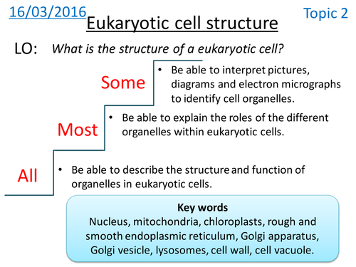 Eukaryotic cell structure - NEW A LEVEL | Teaching Resources