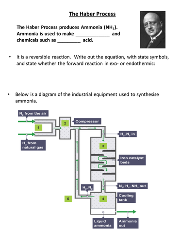 Haber Process worksheet | Teaching Resources Haber Process worksheet | Teaching Resources