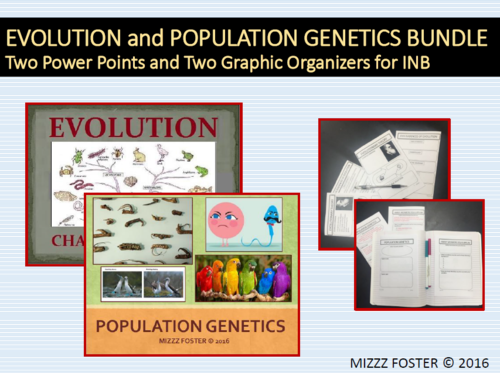 Evolution and Population Genetics Big Bundle: 2 Ppts and 2 Graphic ...