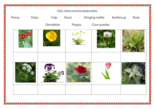 Materials year 1 science planning 6 weeks by - UK Teaching Resources - TES